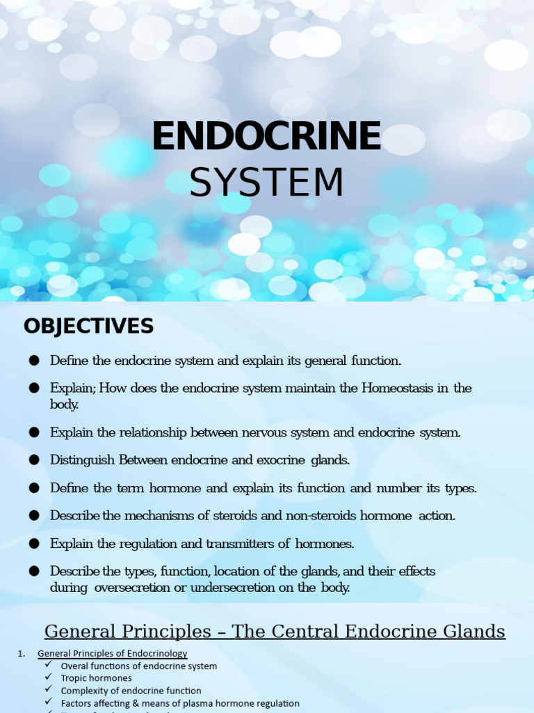 Endocrine System-1 | PDF | Endocrine System | Adrenal Gland