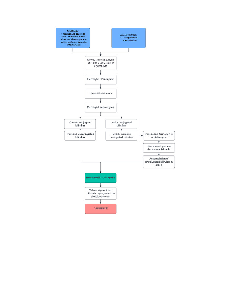Understanding Hemolytic Jaundice Causes | PDF