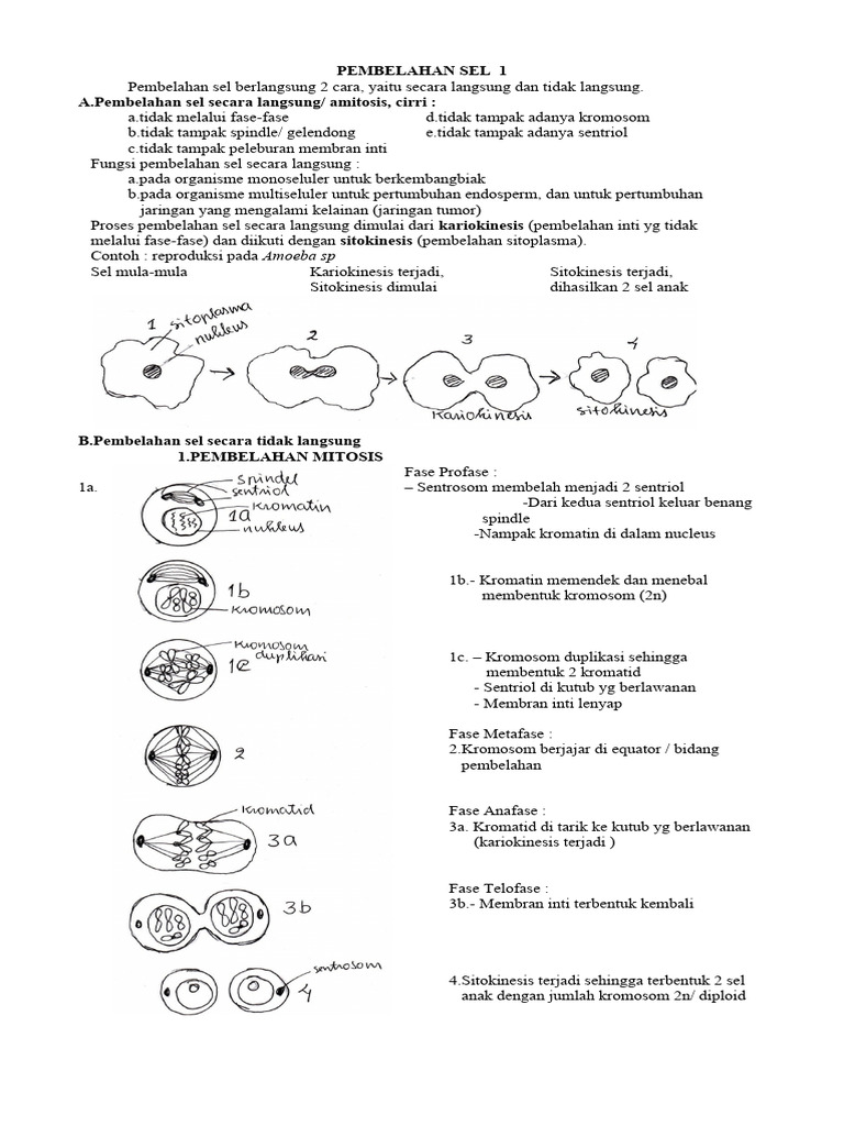 3.4 Bahan Ajar Pembelahan Sel | PDF