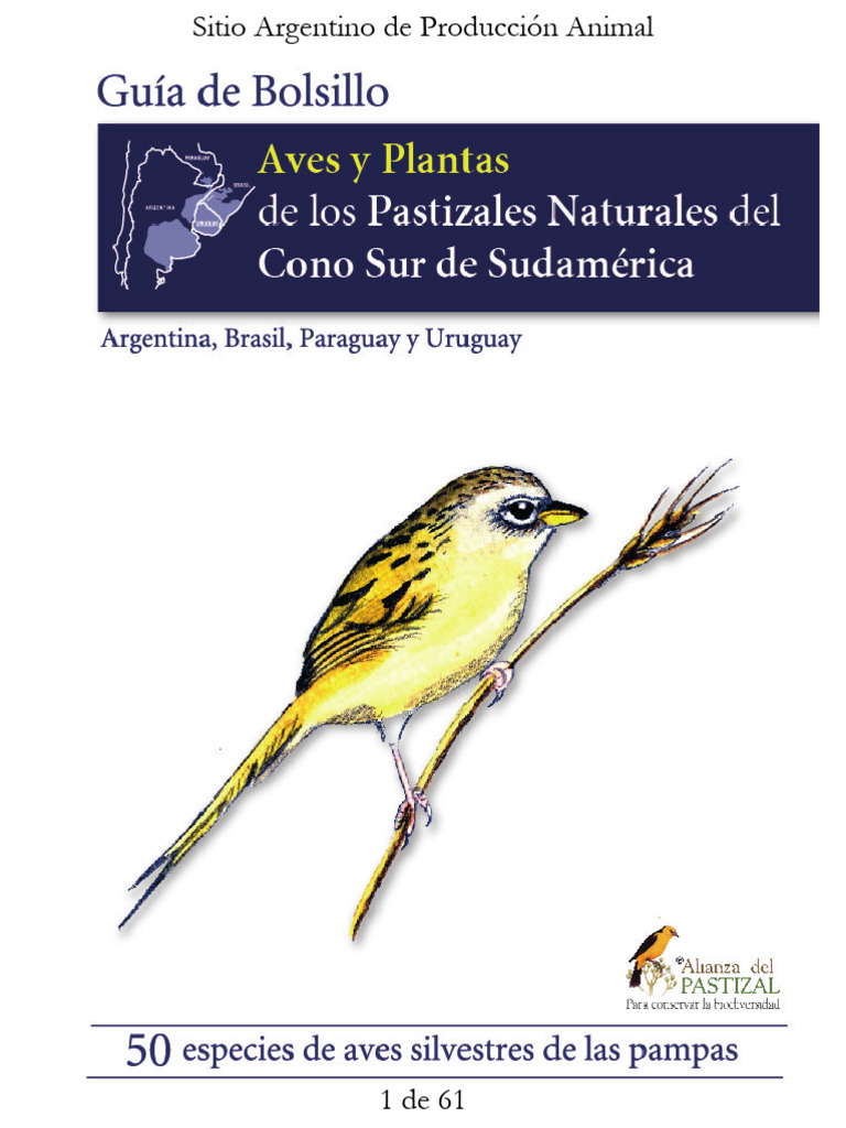 28 Guia Aves | PDF | Aves | Ornitología