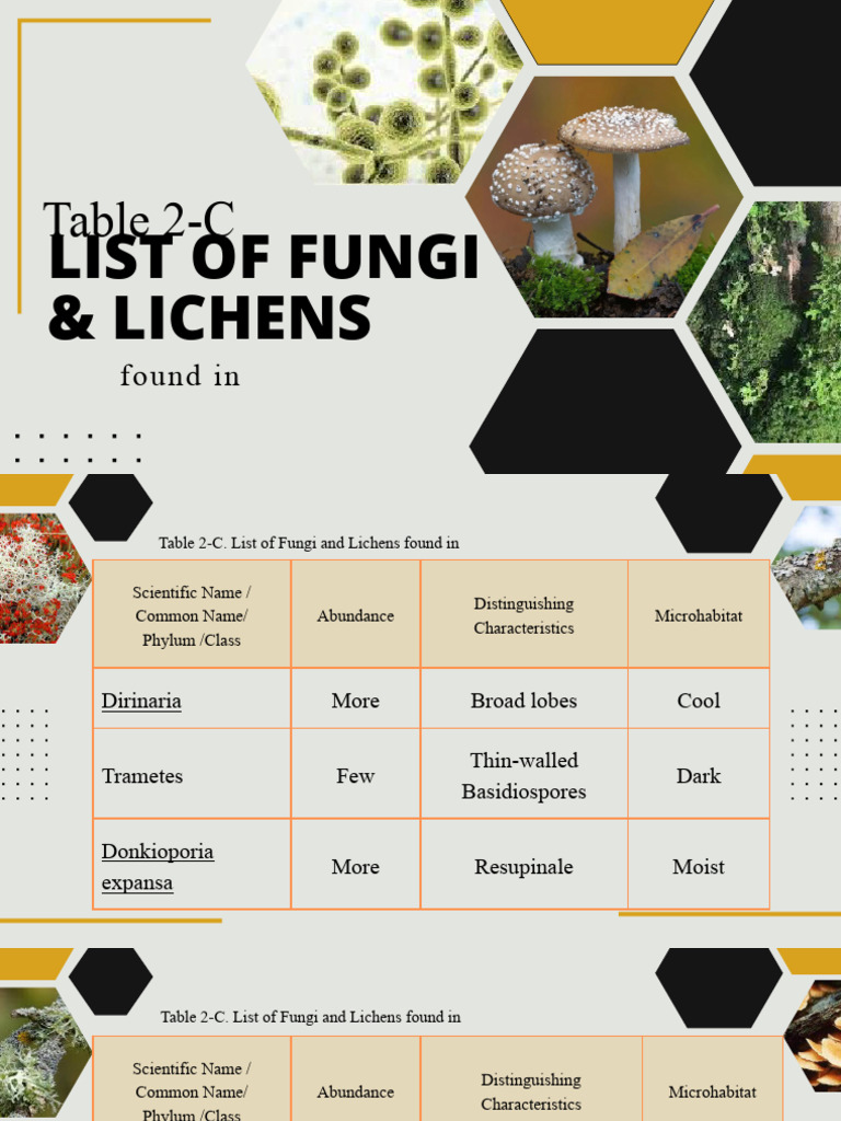 List of Fungi and Lichens | PDF | Fungus | Mushroom Types