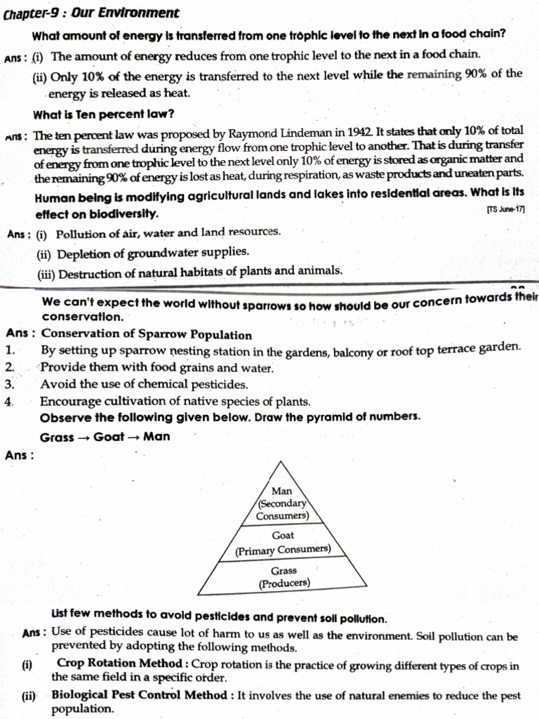 Our Environment Bio Imp | PDF | Food Web | Biomass (Ecology)