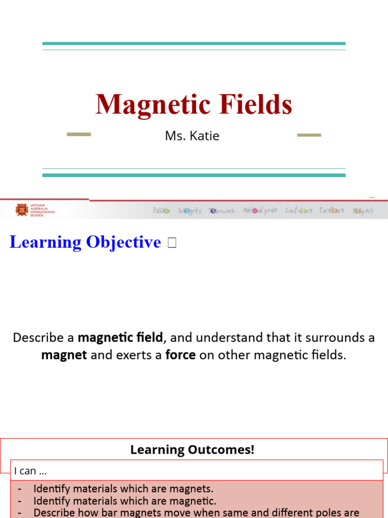 Magnetic Fields | PDF | Magnetism | Magnet