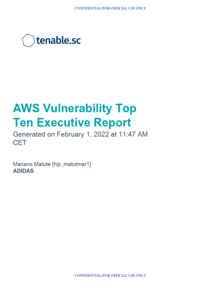 AWS Vulnerability Top Ten Executive Report | PDF | Vulnerability ...