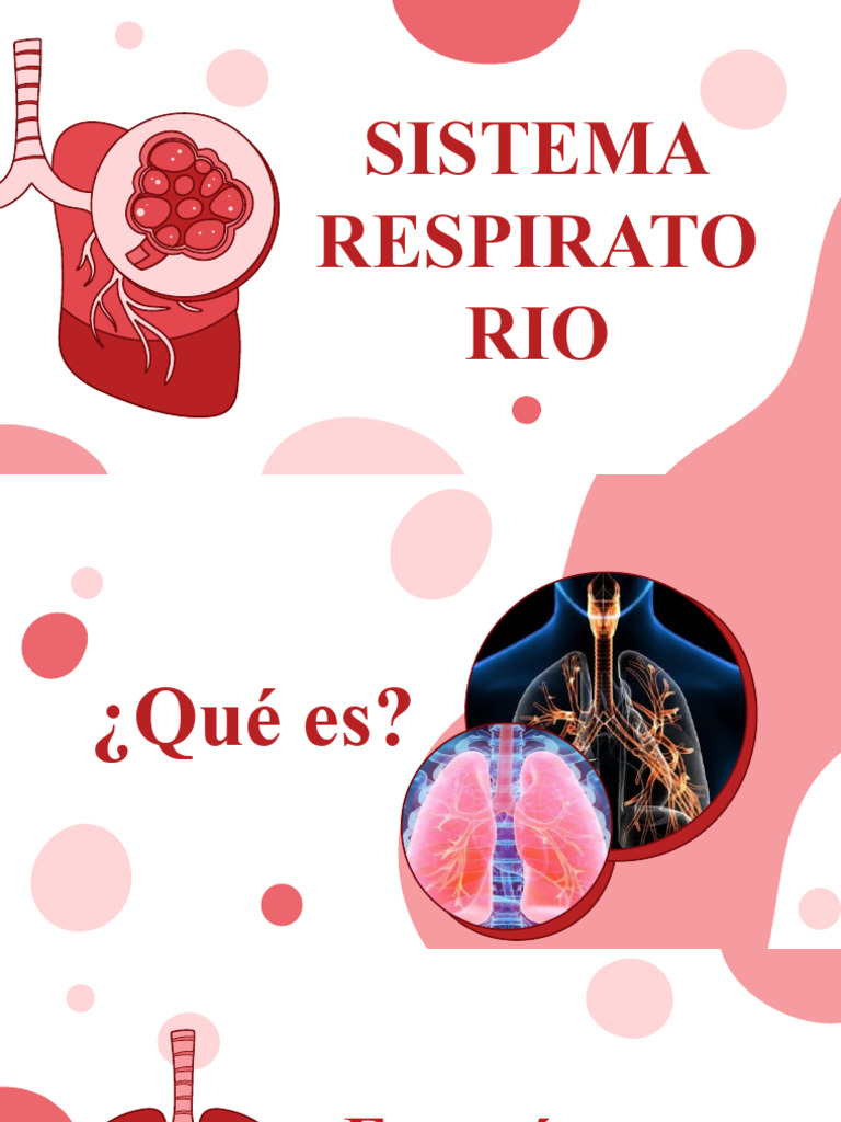 Sistema_Respiratorio[1] | PDF | Asma | Tos