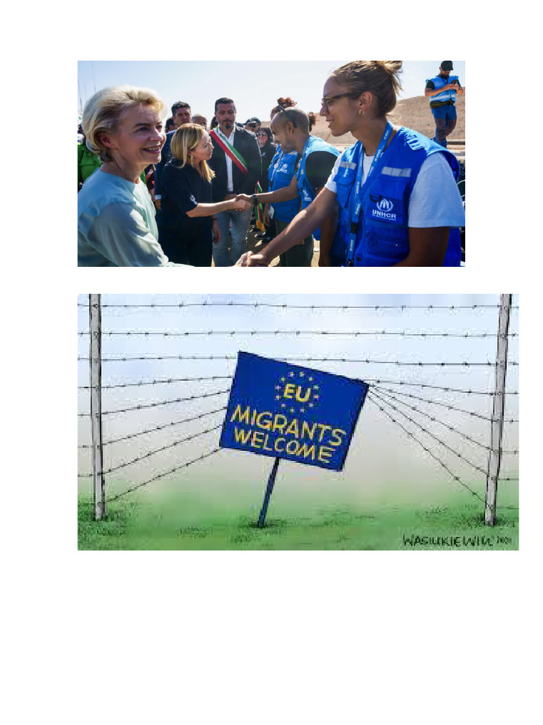 Migration Pics | PDF