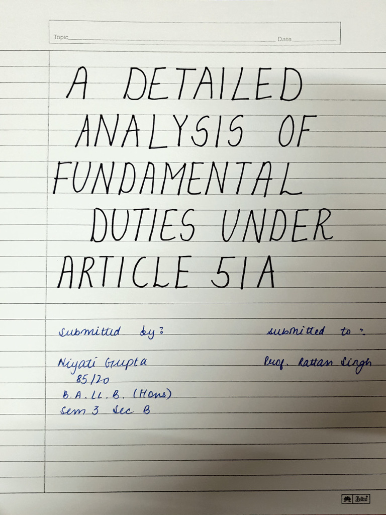 Constitution Project | PDF