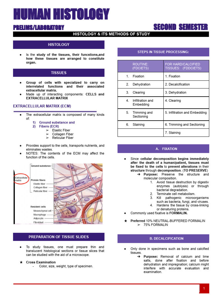 Histo 1 | Download Free PDF | Staining | Histology