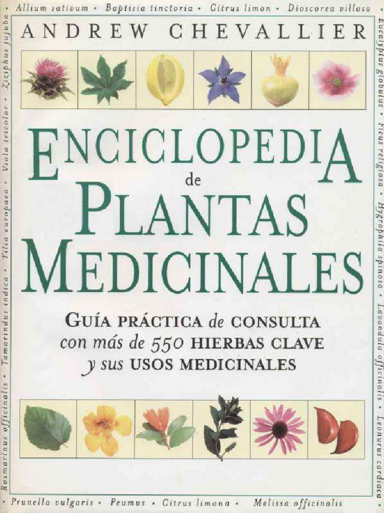 Plantas Medicinales Pdf