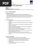 Técnica de Onicotomía en Podología | PDF | Especialidades Medicas ...