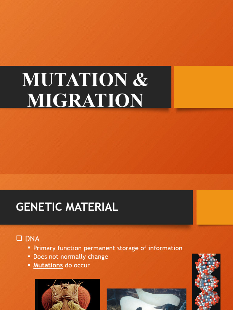 6 Mutation and Migration | PDF | Mutation | Gene