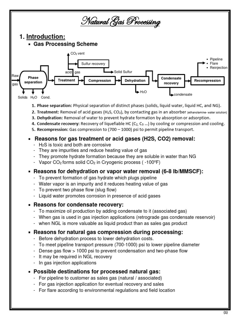 Gas processing | PDF | Natural Gas Processing | Water