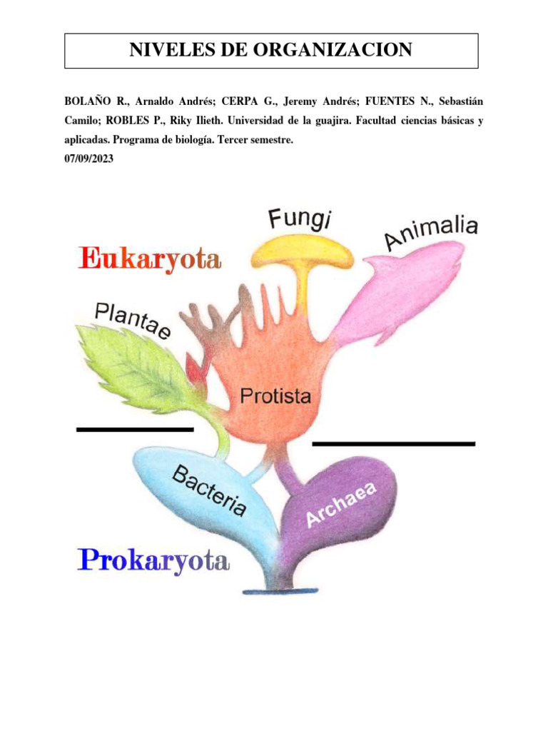 Niveles de Organizacion | PDF | Plantas | Ecosistema
