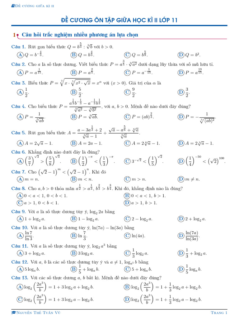 De Cuong On Tap Giua Hoc Ki 2 Mon Toan 11 Cau Truc Trac Nghiem Moi | PDF