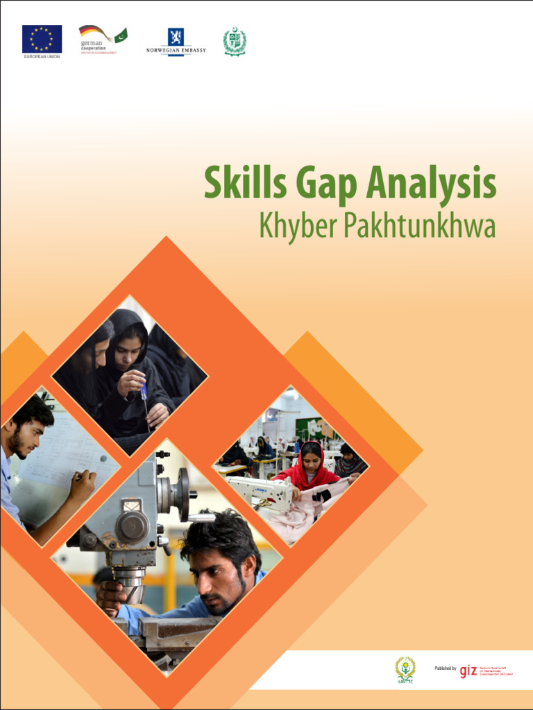 Khyber Pakhtunkhwa Skills Gap Analysis | PDF | Vocational Education ...