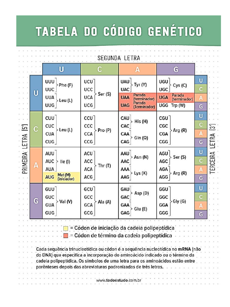Codigo Genetico | PDF
