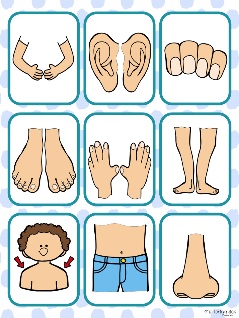 Fichas Cuerpo Humano 1 Pdf