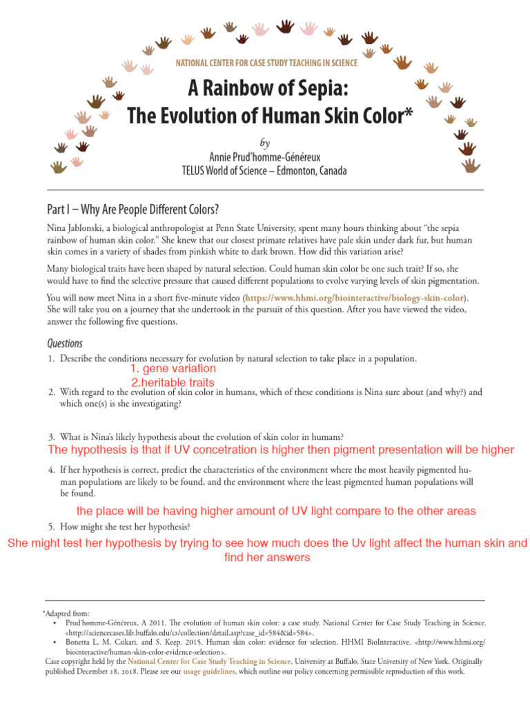 Skin Pigment Flip | PDF | Human Skin Color | Vitamin D