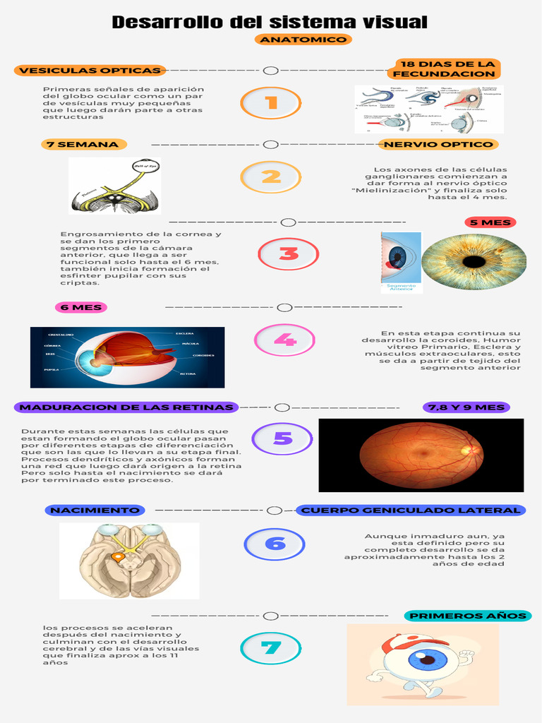 Infografía de Línea de Tiempo Timeline Hitos y Progreso de Un Proyecto ...
