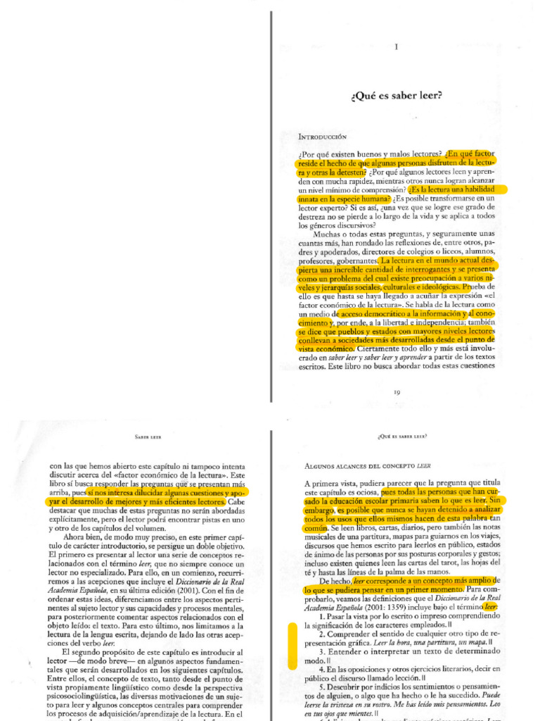 Giovanni Parodi. Qué Es Saber Leer. Parte 1 | PDF