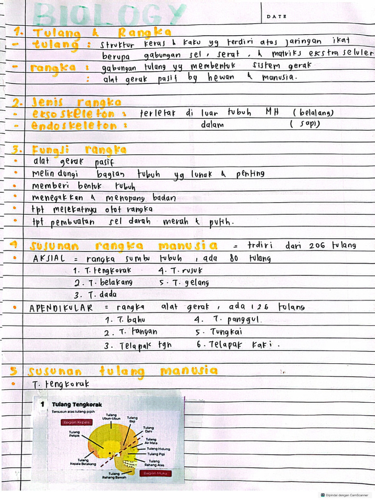Cat Bio Sistem Gerak | PDF