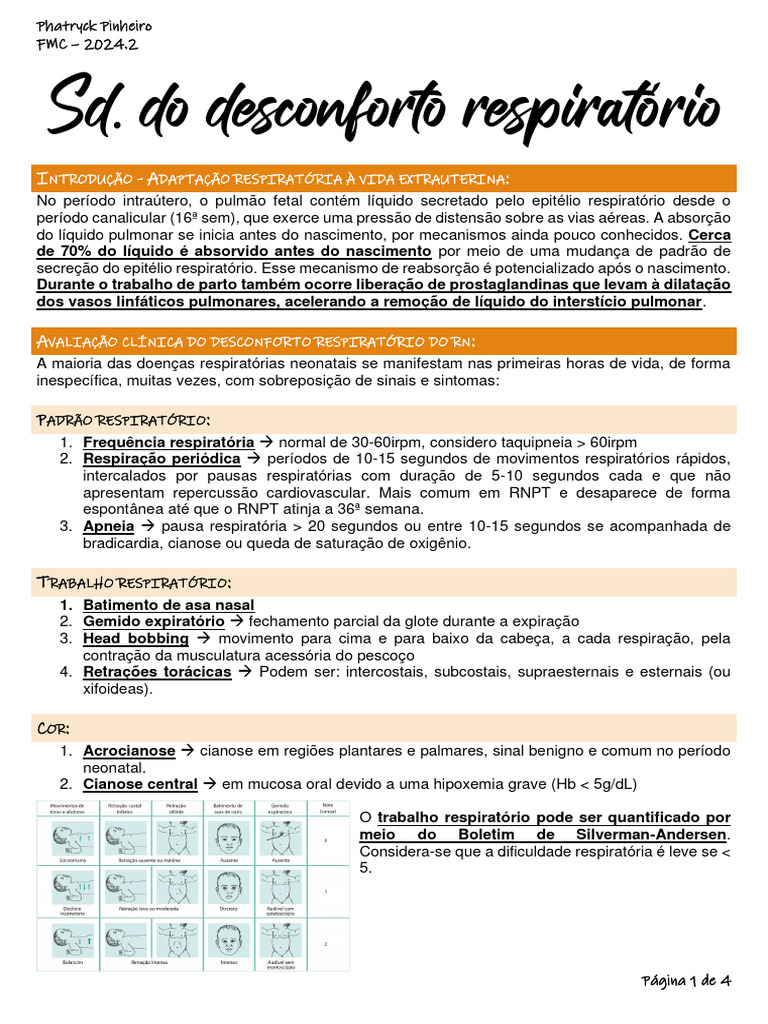 Aula 4 - Síndrome Do Desconforto Respiratório Do RN | PDF | Sistema ...