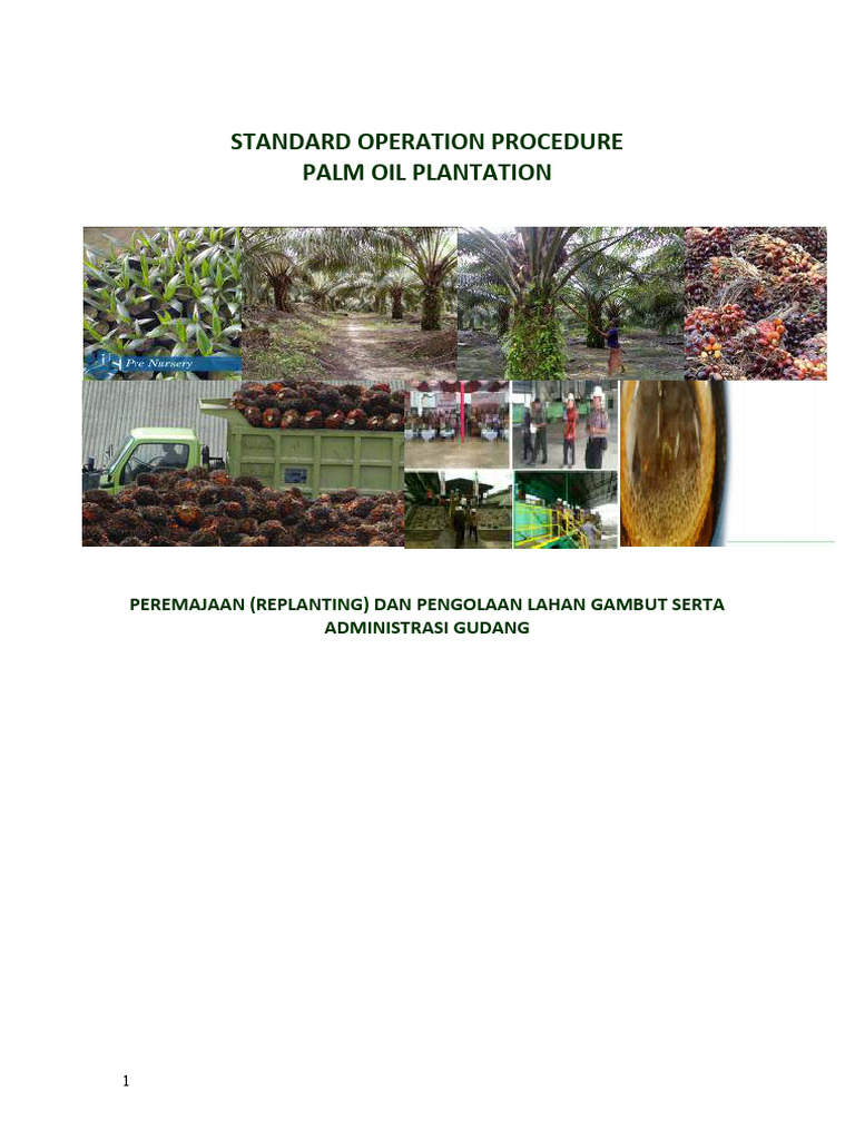 Flip BMP Plantation | PDF