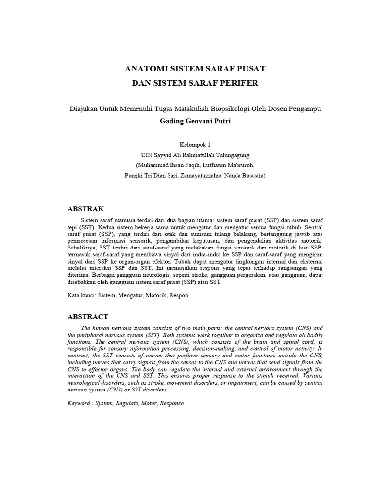 Anatomi Sistem Saraf Pusat dan Perifer | PDF
