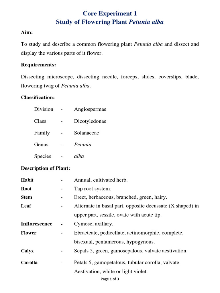Core Experiment 1 Study of Flowering Plant Petunia Alba | PDF