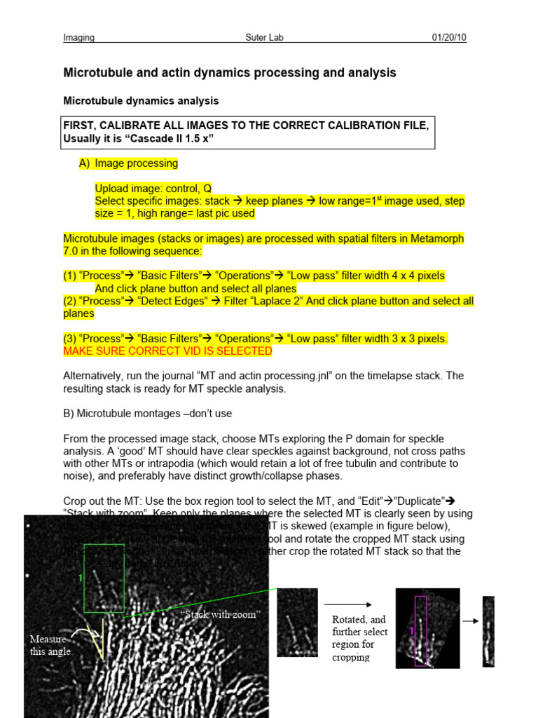 Actin Flow Metamorph Analysis Procedure | PDF | Microtubule | Low Pass Filter