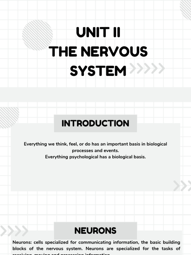 Biological Basis of Behaviour | PDF | Neurotransmitter | Neuron