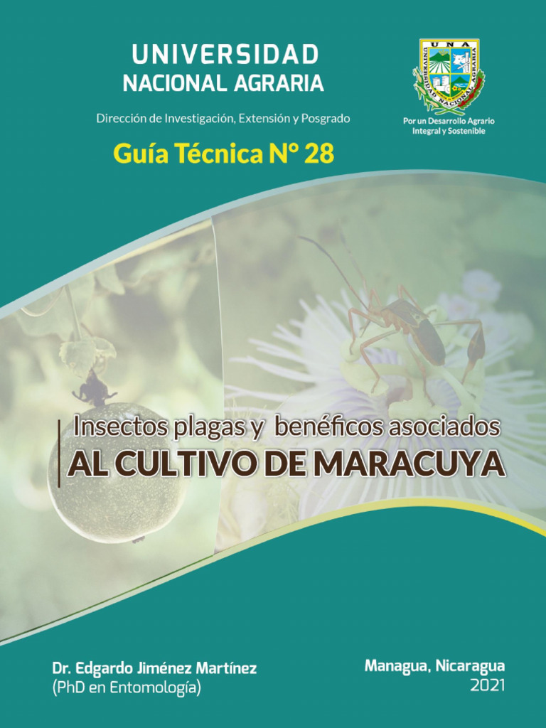 NH10 U58 Ib | PDF | Insectos