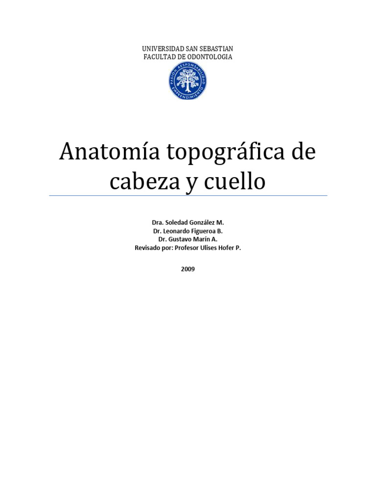 Anatomia Topografica De Cabeza Y Cuello Descargar Gratis Pdf Nariz