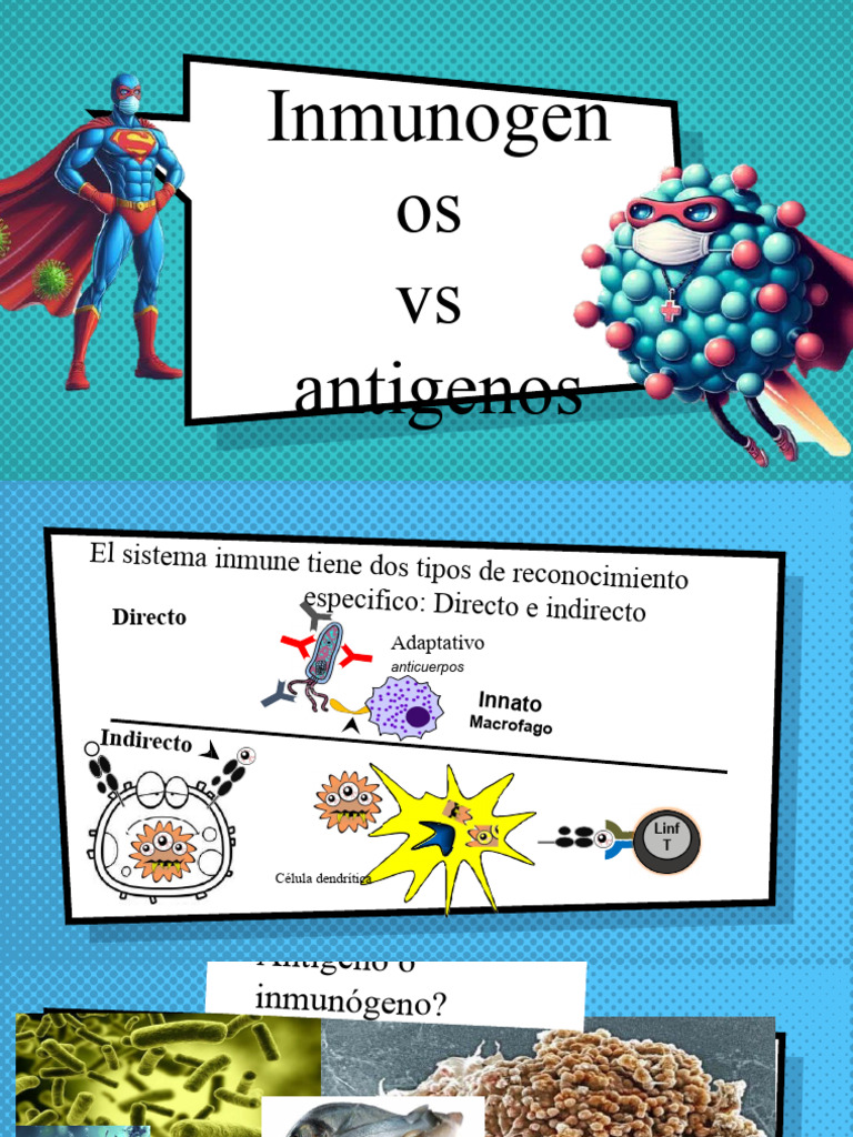 Diferencias entre antígenos e inmunógenos | PDF | Antígeno | Sistema inmune