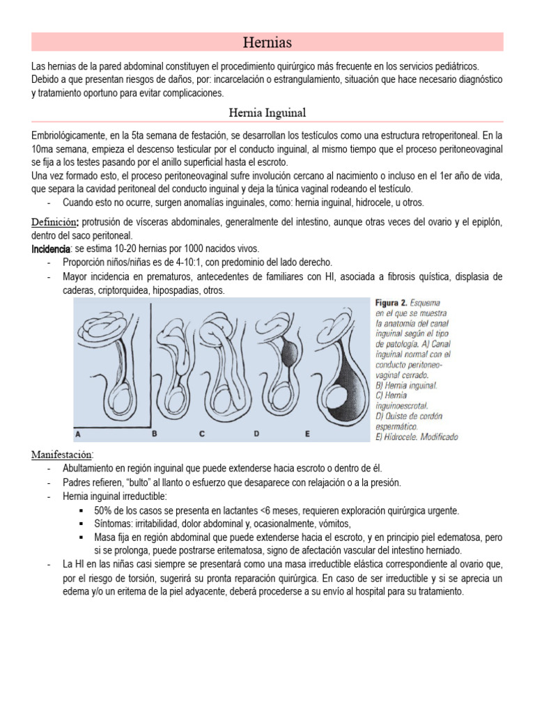 12 Hernias | PDF | Especialidades Medicas