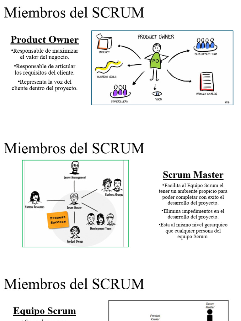 Miembros Scrum y Principios Scrum | PDF | Scrum (desarrollo de software) | Business
