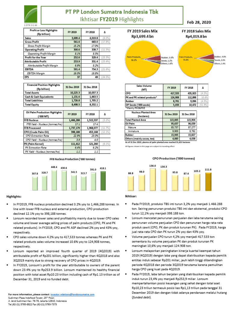 Lonsum FY2019 Financial Overview | PDF | Financial Accounting | Economies