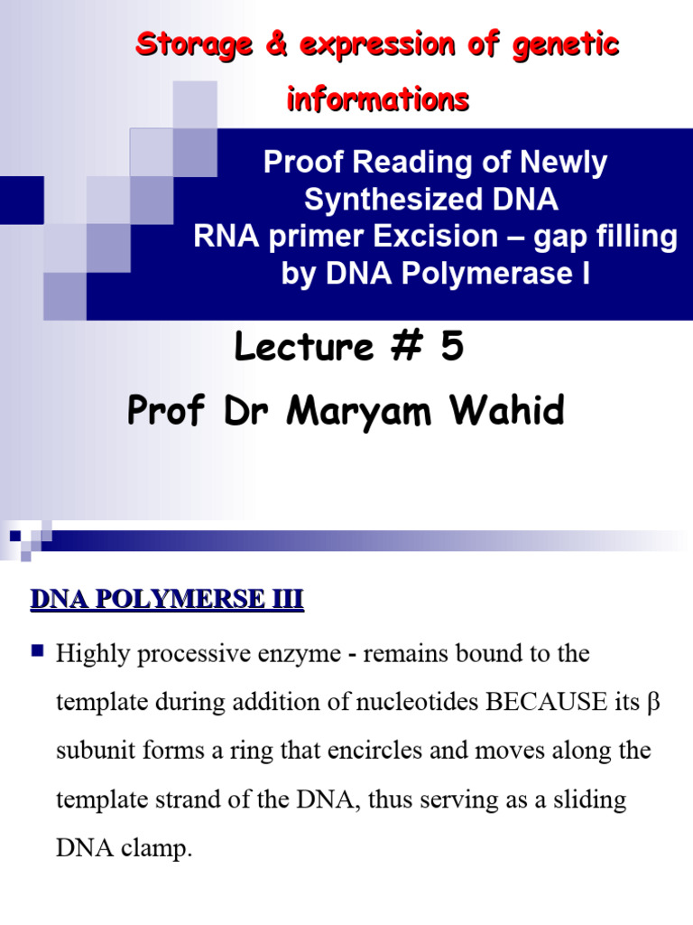 5.proof Reading of Newly Synthesized DNA | PDF | Primer (Molecular Biology) | Dna Replication