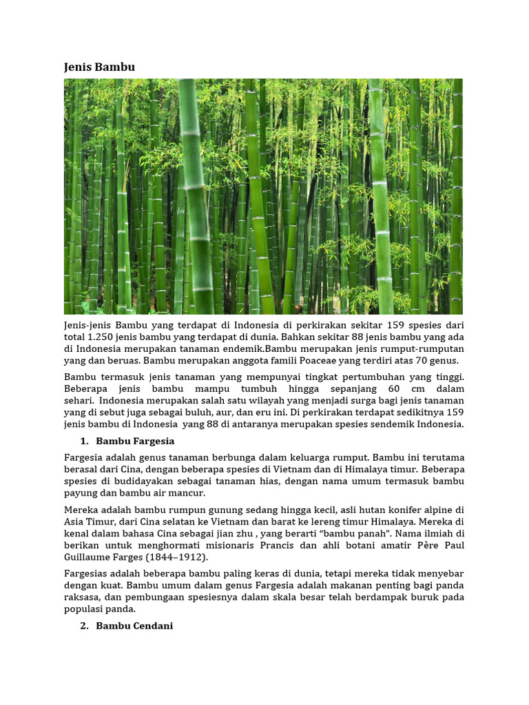Jenis Bambu | PDF