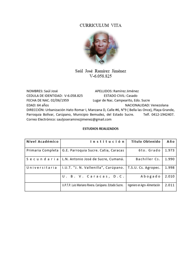 Curriculum Vitae Saúl | PDF