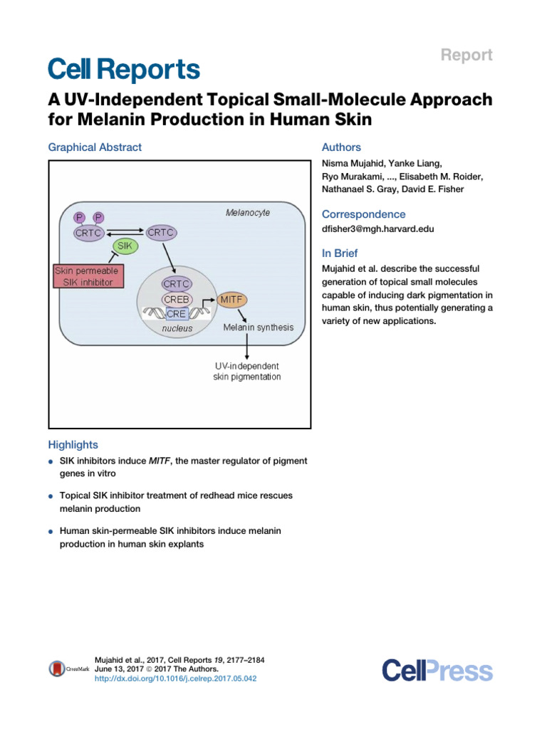 Topical SIK Inhibitors Boost Melanin Production | PDF | Melanoma | Biology