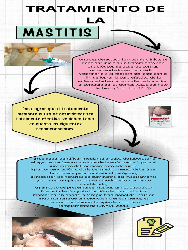 mastitis | PDF