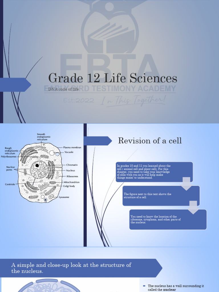 DNA Code of Life PART 1 | PDF | Dna | Nucleic Acids