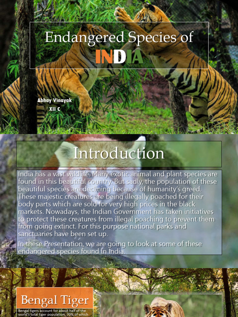 Endangered Species of India | PDF | Endangered Species | Lion