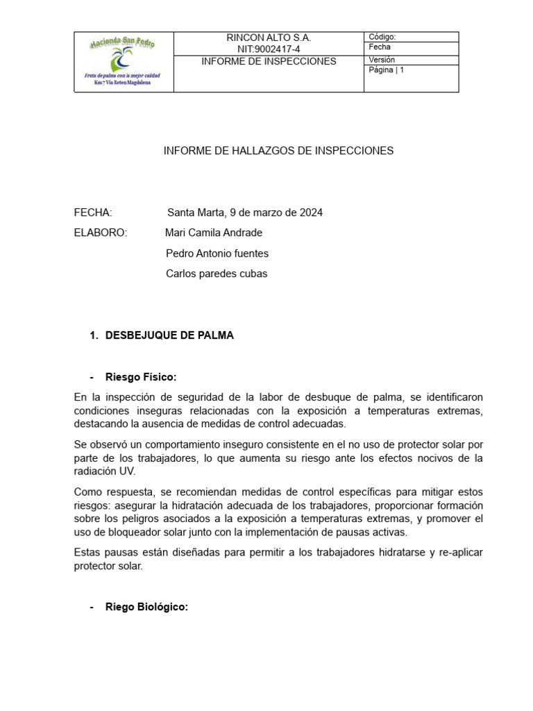 Informe de Hallazgos de Inspecciones | PDF | Protector solar