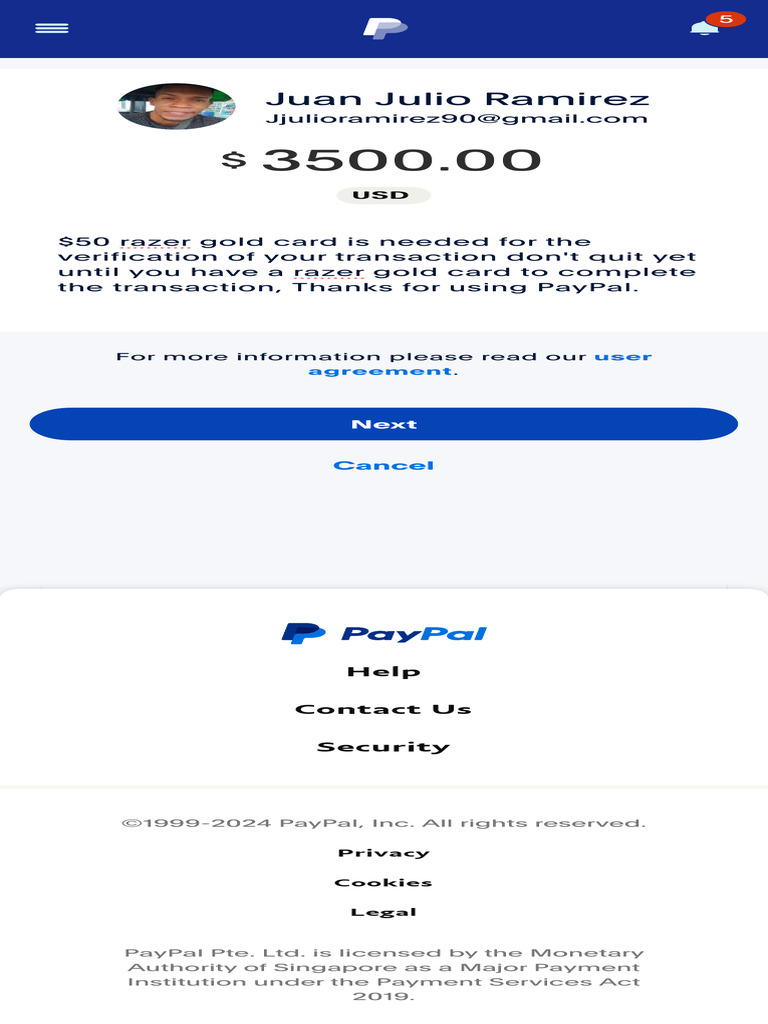 PayPal Make A Payment Preview | PDF