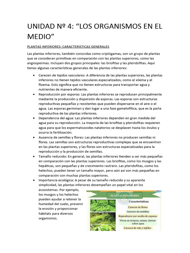 Unidad #4 Los Organismos en El Medio | PDF | Flores | Polinización