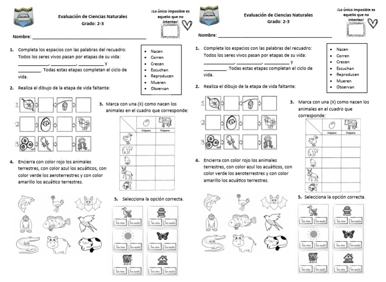 EVALUACION CIENCIAS NATURALES SEGUNDO GRADO | PDF