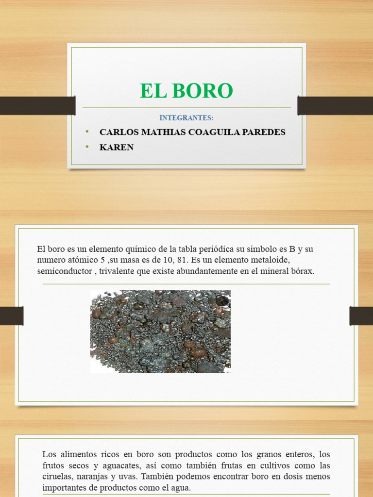El Boro | PDF