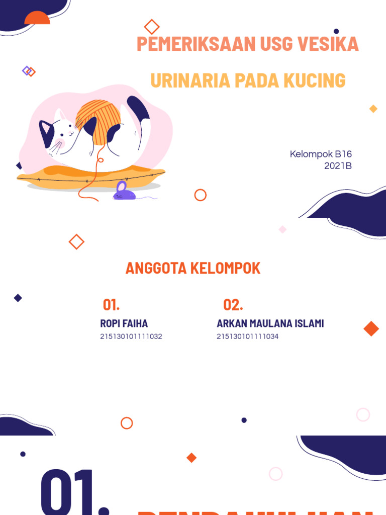 B16 - Pemeriksaan USG Vesika Urinaria Pada Kucing | PDF